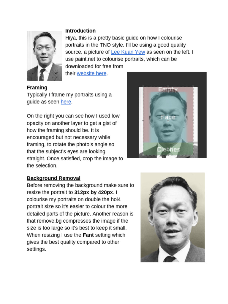 Maho's Guide To TNO-styled Portraits | PDF | Vision | Imaging