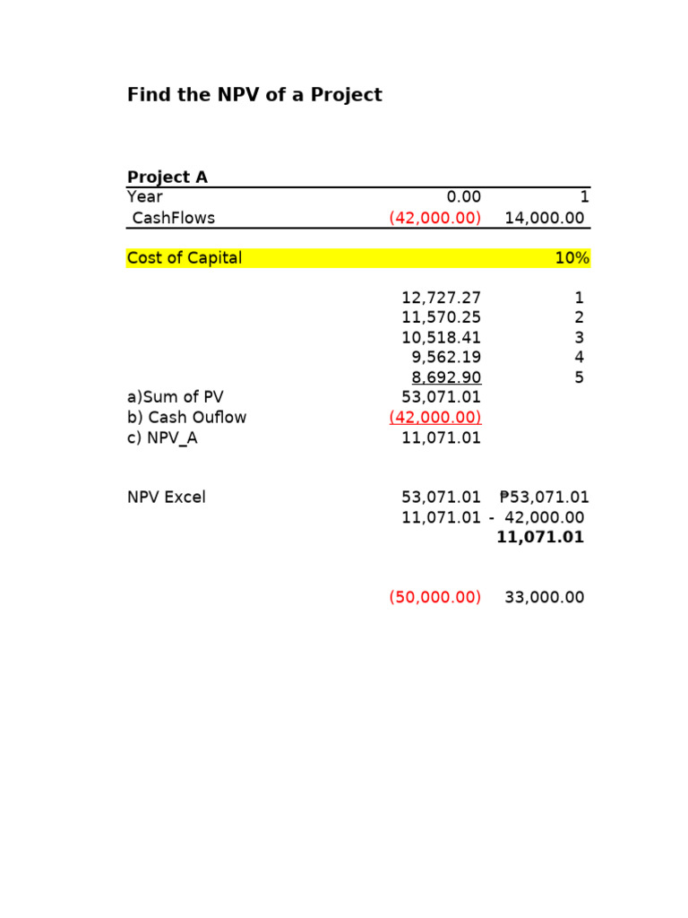 NPV, PI, and IRR Calculations Guide | PDF | Net Present Value | Private ...