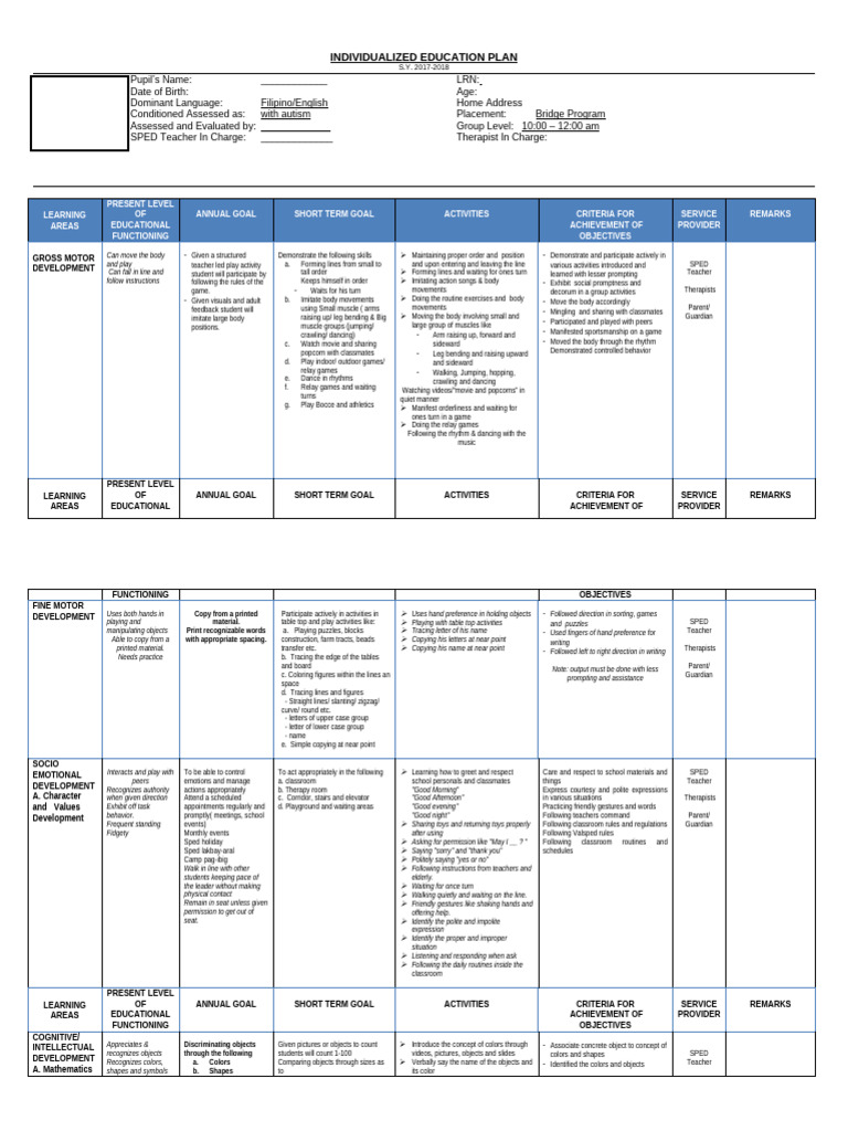Sample Individualized Education Plan | PDF | Individualized Education ...