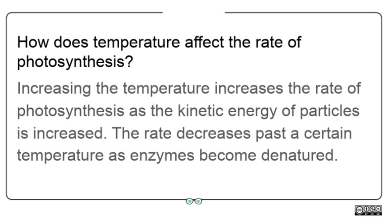Flashcards - 4.1 Photosynthesis - p17 | PDF