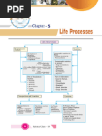 Class 10 Science Chapter 6 Life Processes Notes | PDF