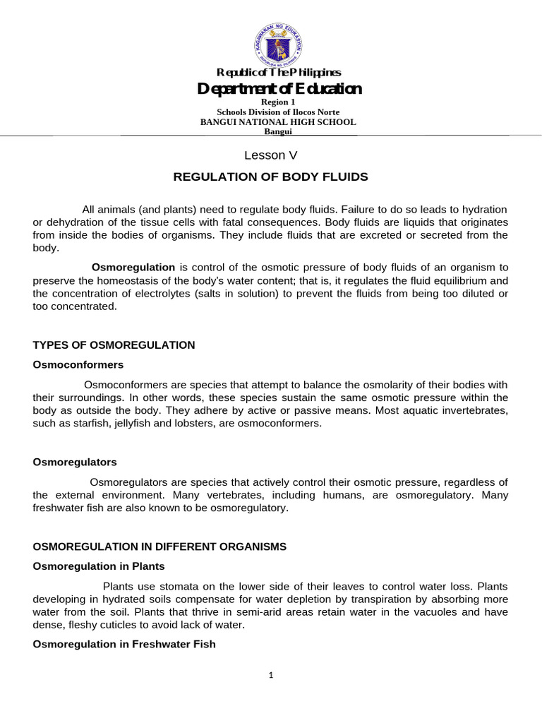 Q4 Gen Bio 2 Concept Notes Part 3 | PDF | Kidney | Nervous System