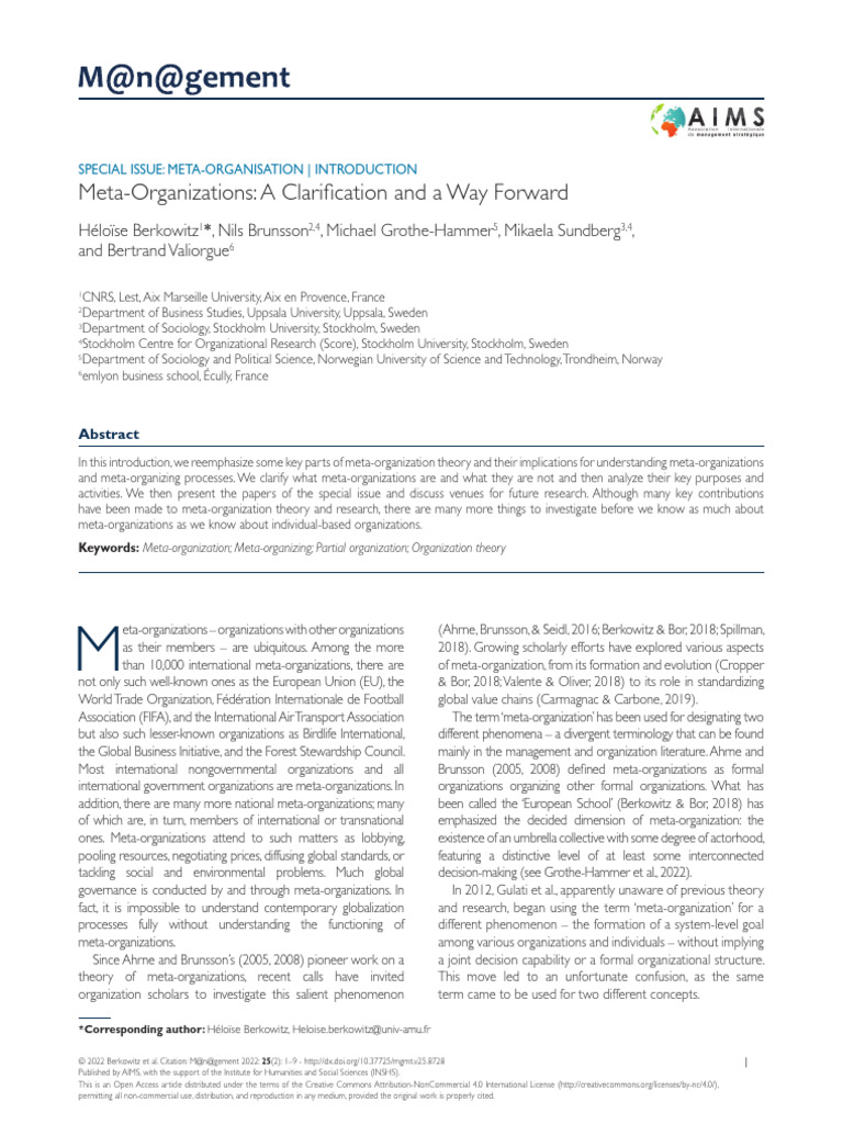 Meta Organizations A Clarification and A Way Forward | PDF | Governance