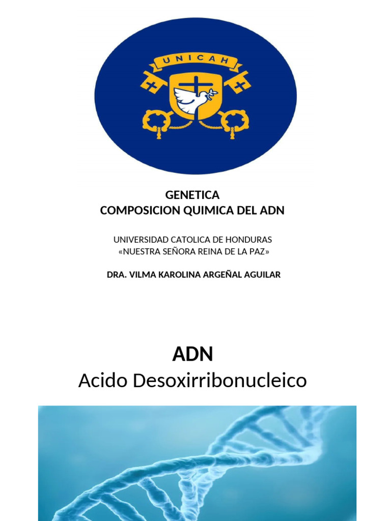 Composicion Qq Del Adn Genetica | PDF | Adn | Nucleótidos