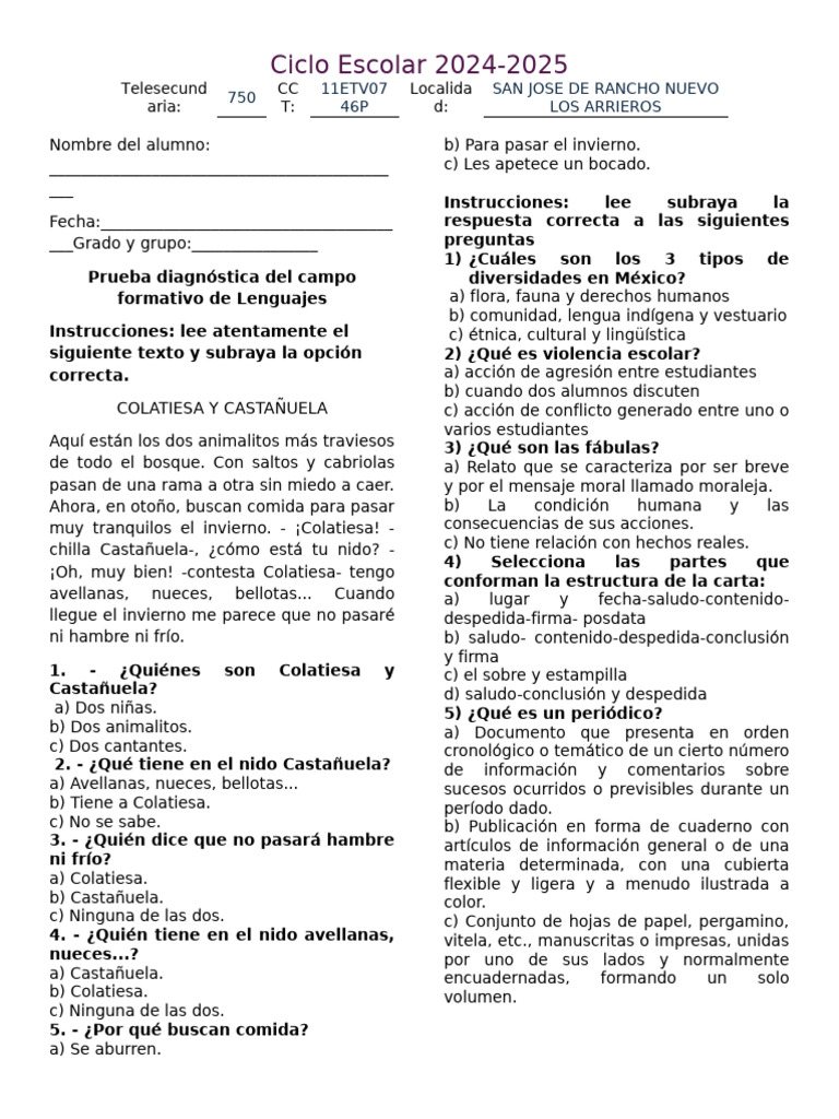 Diagnostico Español | PDF