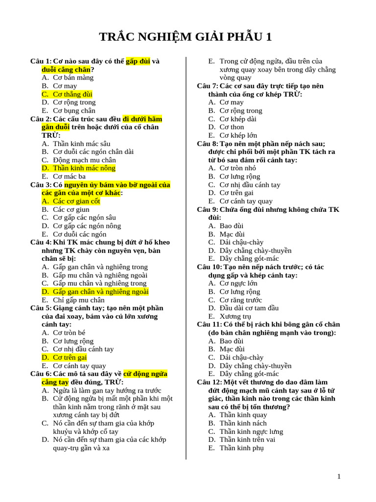 Ôn tập GP1 - Y2017PNT no ans | PDF