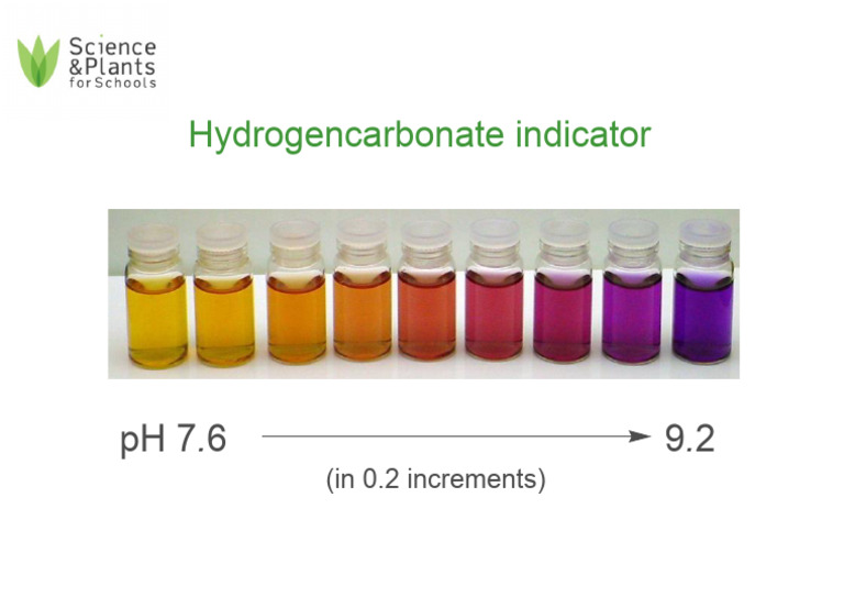 SAPS - Colour Chart Showing Hydrogencarbonate Indicator | PDF