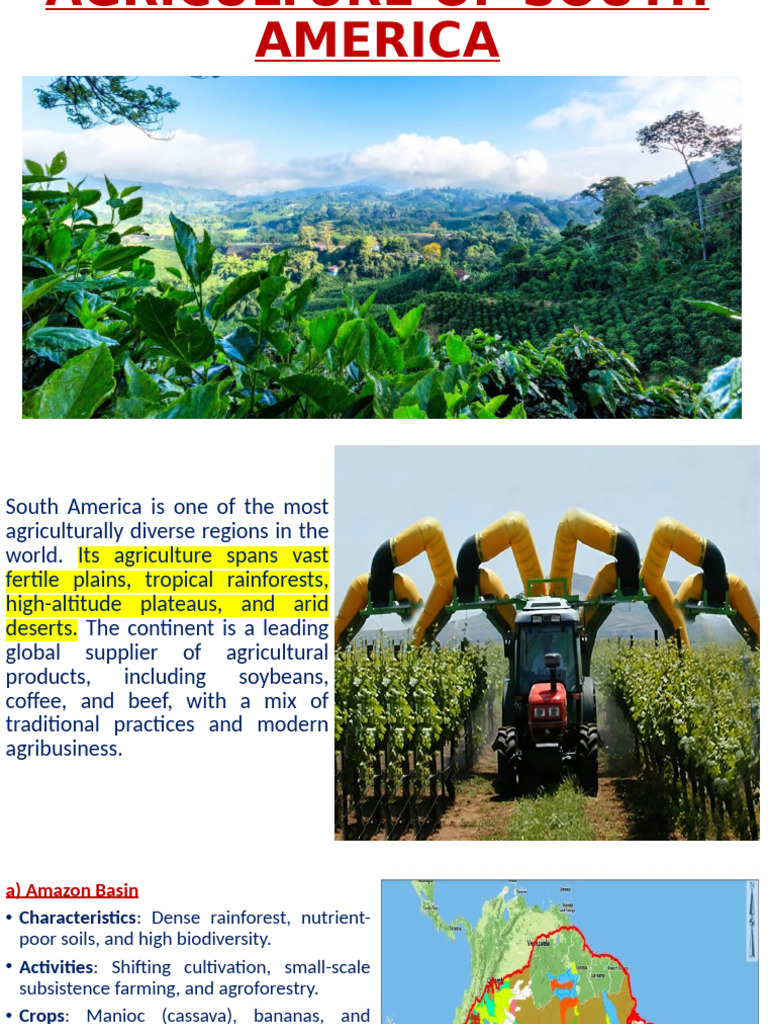 South American Agriculture Overview | PDF | Agriculture | Crops