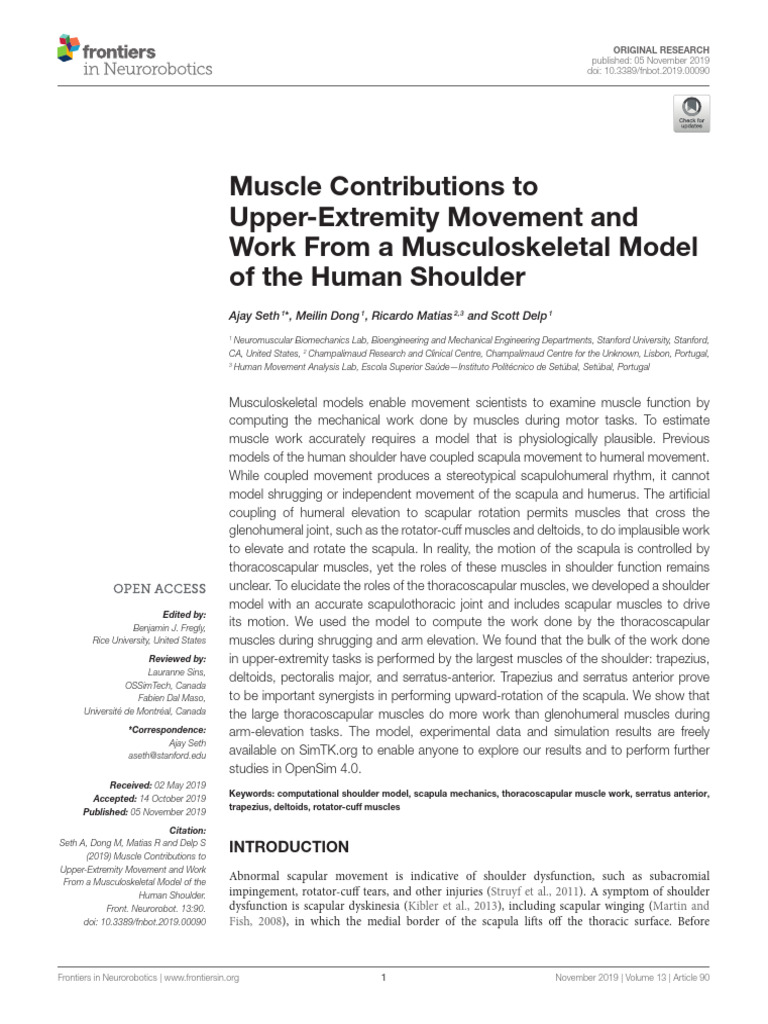 Seth 2019 - Muscle Contributions To Upper-Extremity Movement and Work ...