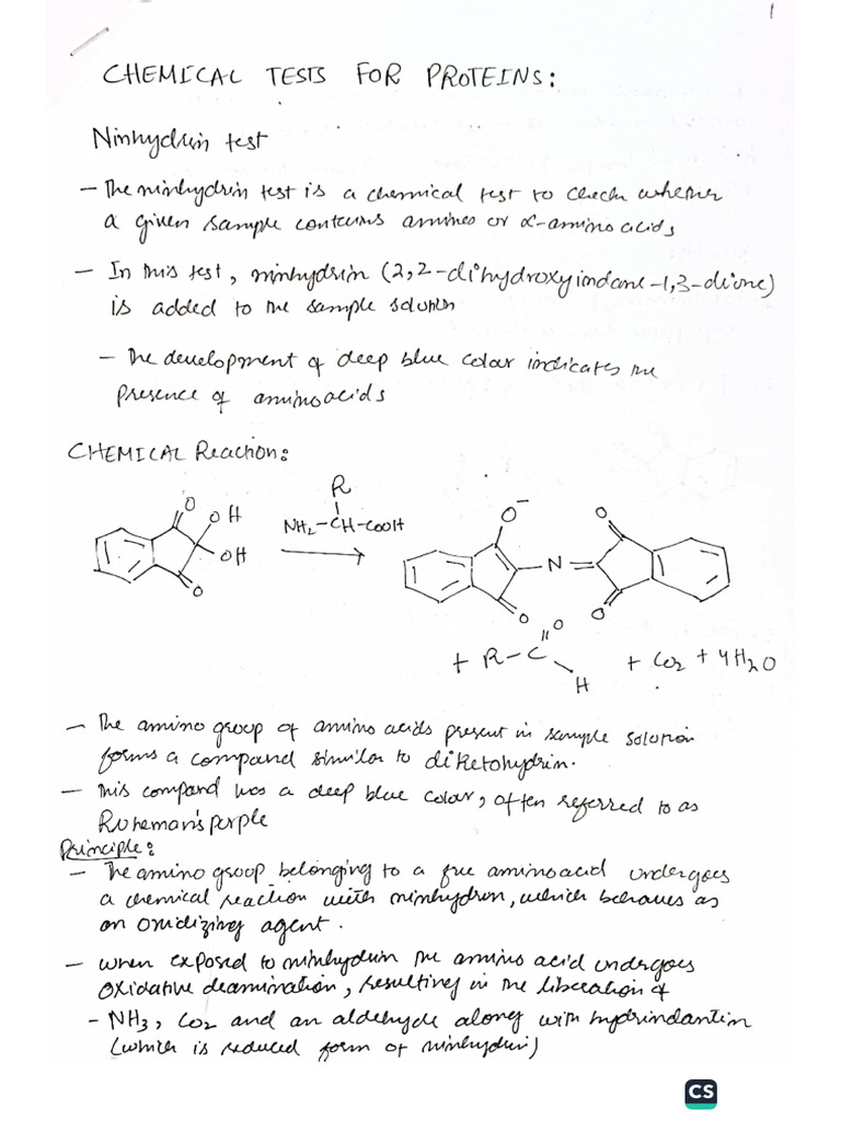 1.3chemical Tests For Proteins | PDF