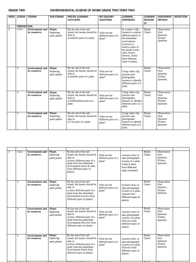 Grade 2 Environmental Activities | PDF | Learning | Plants
