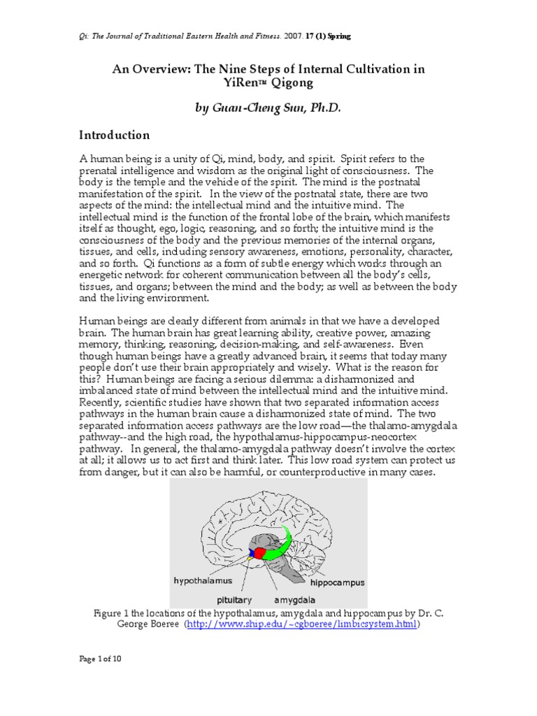 The Nine Steps of Internal Cultivation | Qigong | Qi