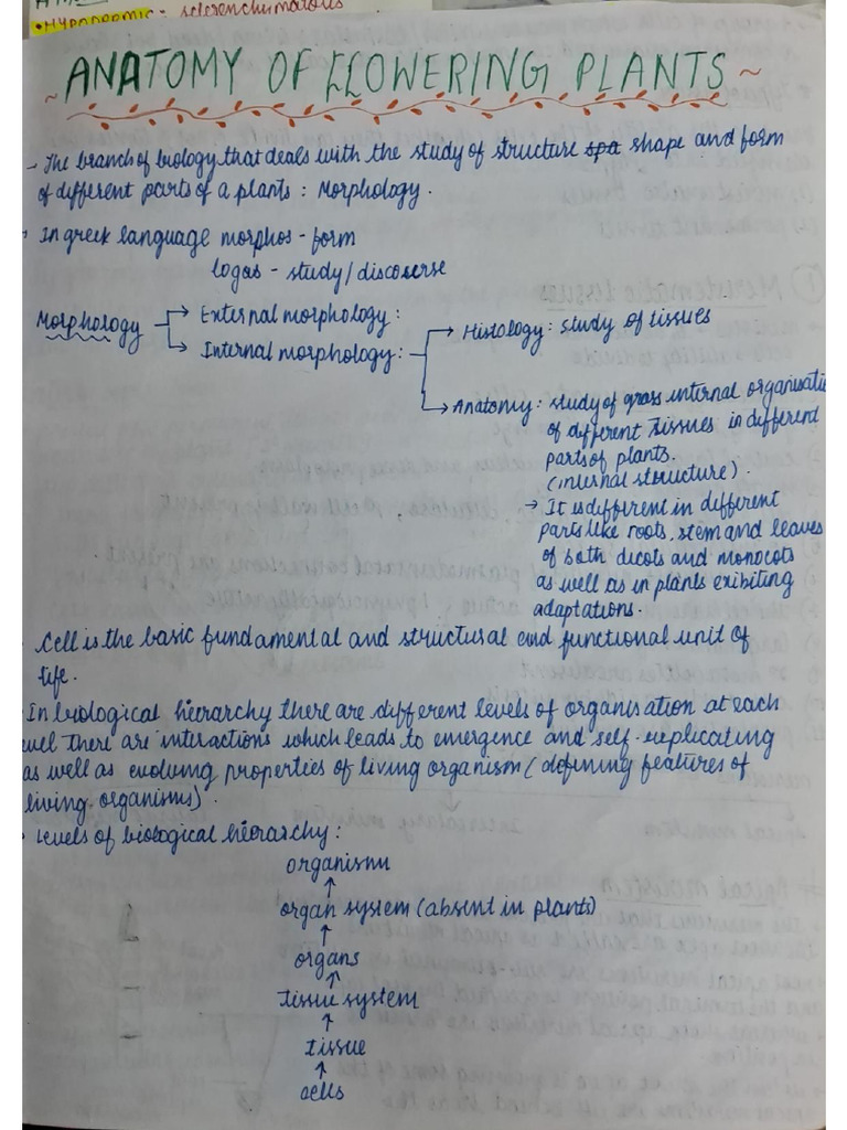 PDF Scanner 3103 Notes | PDF