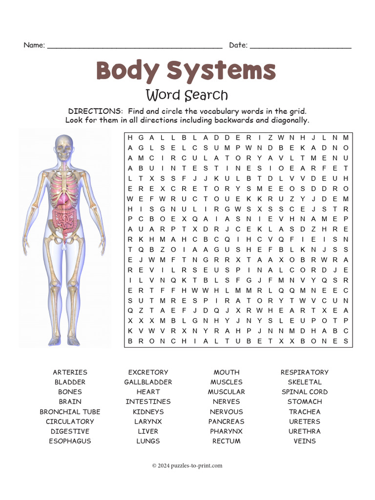 Science Word Search & Crossword - Primary School | PDF | Planets | Insects