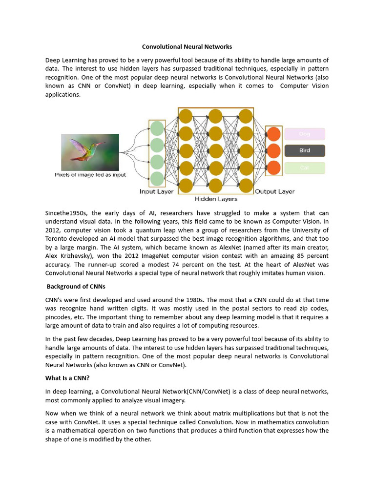 Convolutional Neural networks.docx | PDF | Computational Neuroscience | Algorithms