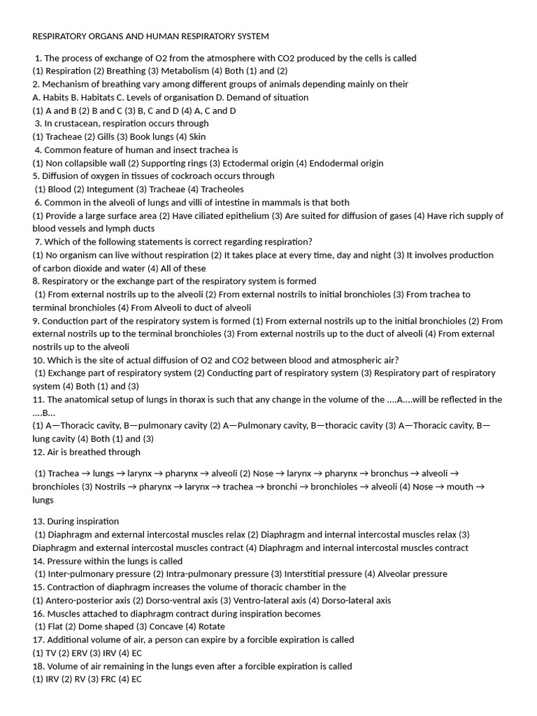 Human Respiratory System Overview | PDF | Respiratory Tract ...