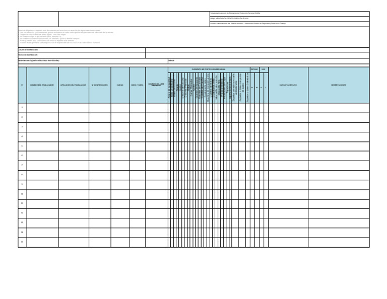 Formato Inspeccion Epp | PDF