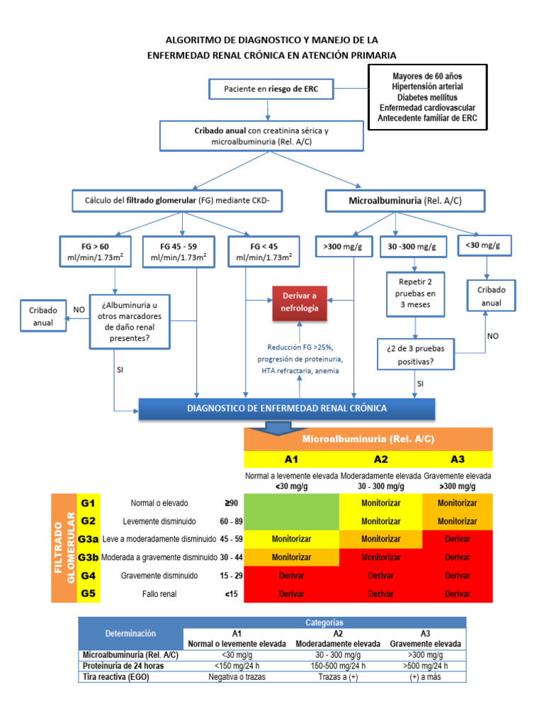 Algoritmo Diagnostico de La Erc 2 | PDF | Medicina Interna | Riñón