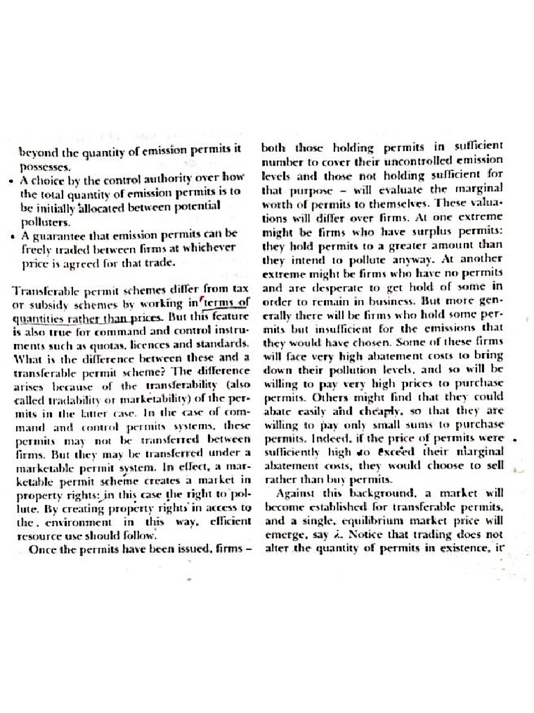 Transferable Permit System | PDF