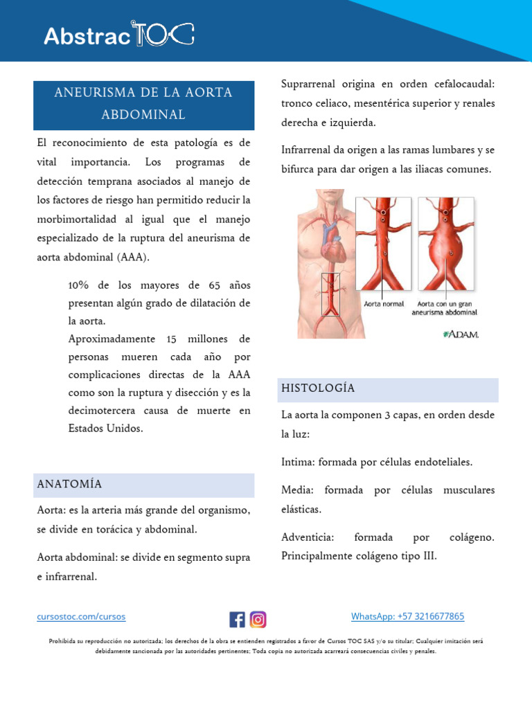 Aneurisma de Aorta Abdominal | PDF | Aorta | Abdomen