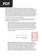 Grados de Hiperestaticidad (GHT) y Grados de Libertad (GDL) | PDF ...