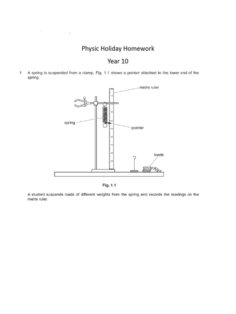 Year 10 Physics Holiday Homework | PDF