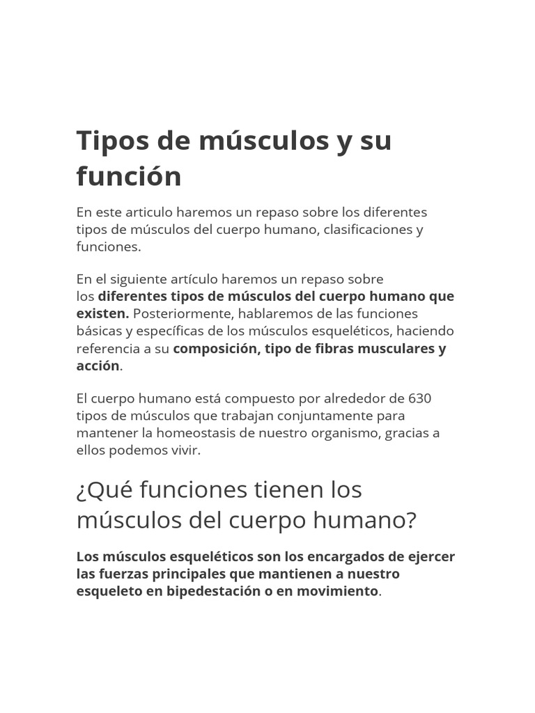 Clasificación y funciones de los músculos | PDF | Contracción muscular ...