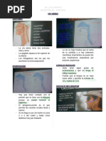 Uso y manejo del Combitubo en emergencias | PDF | Medicina | Medicina ...
