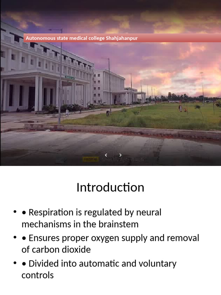 Neural Regulation of Respiration 12 Slides Updated | PDF