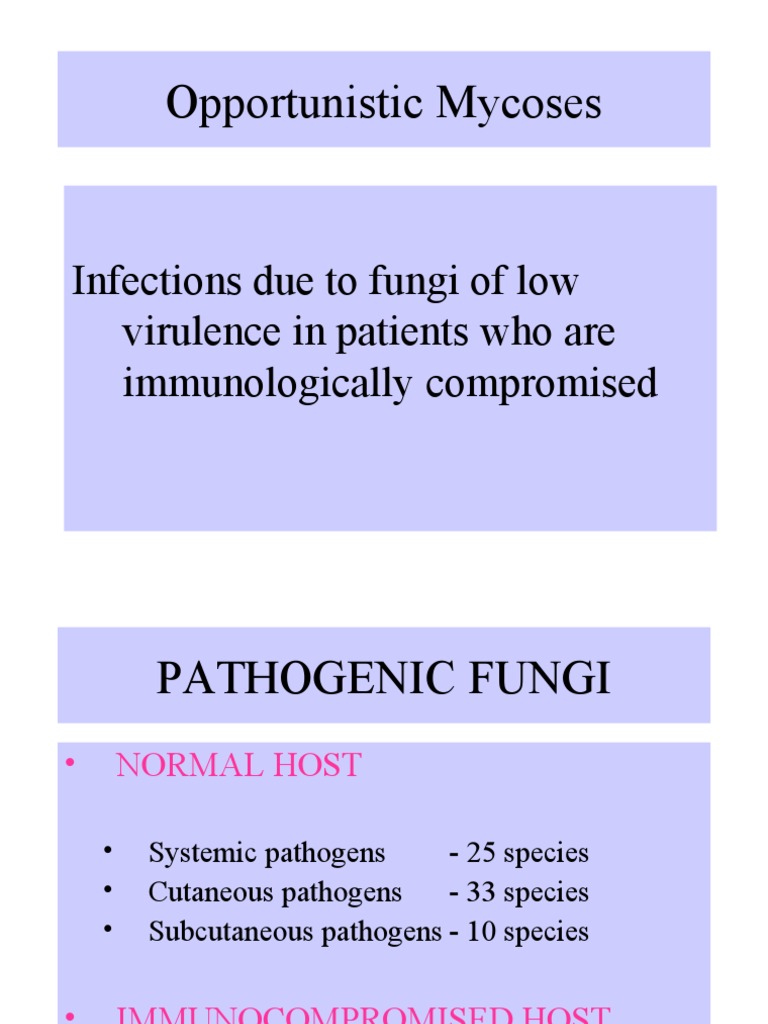 Opportunistic Fungi | PDF | Candida (Fungus) | Candidiasis