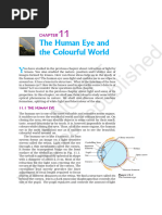 NCERT Books For Class 10 Science Chapter 11 Human Eye and Colorful World | PDF | Rainbow | Eye