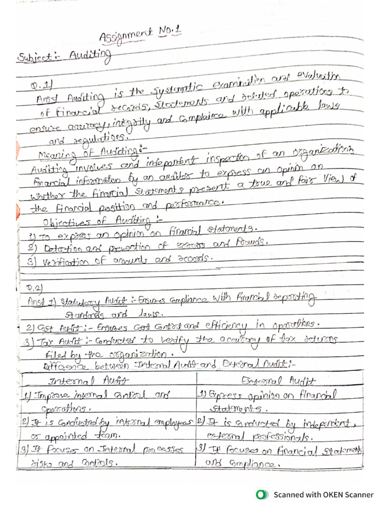 Auditing Assignment | PDF