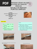 Guía de Sutura Colchonero Horizontal | PDF | Cirugía | Especialidades ...