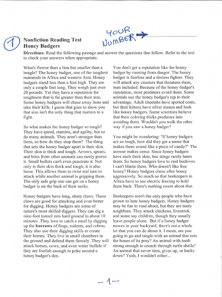 7 SVC Test 2023 | PDF