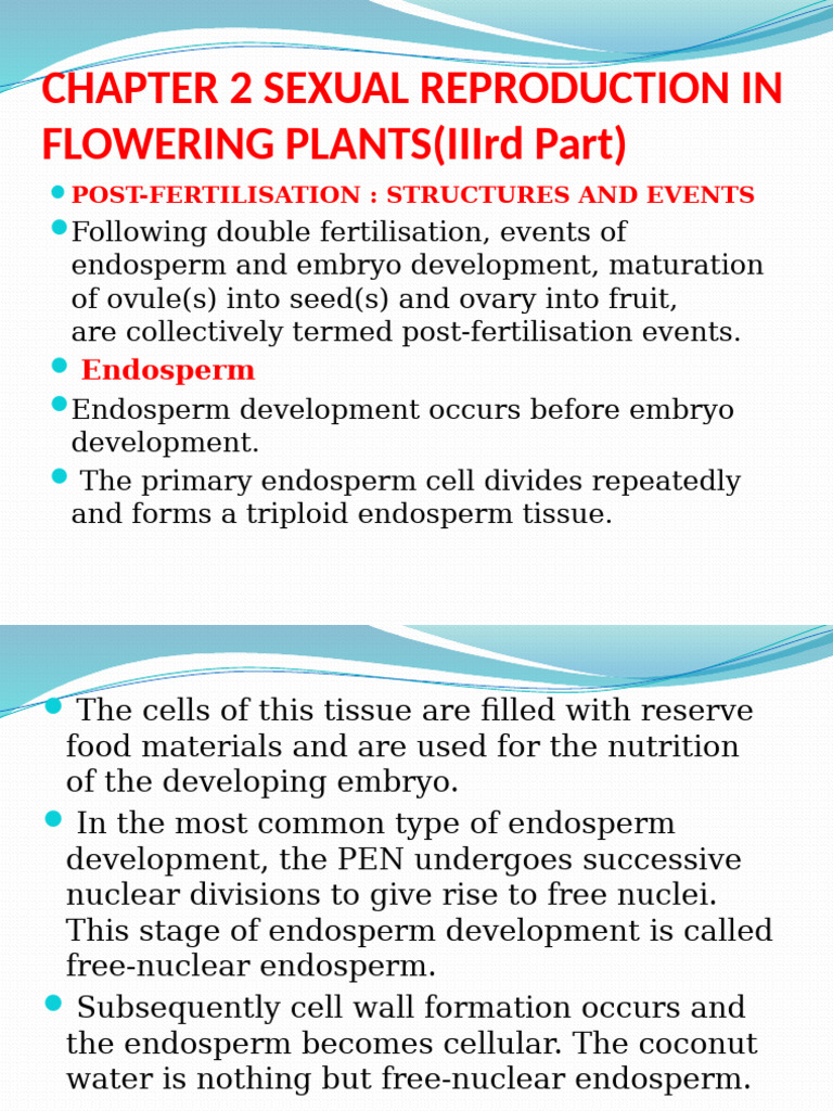 Class12 Chapter2 Part3 | PDF | Seed | Embryo