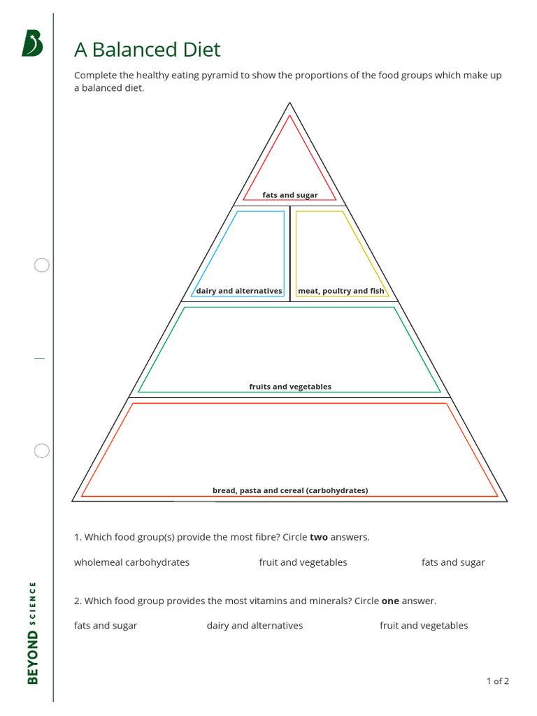 A Balanced Diet Worksheet | PDF