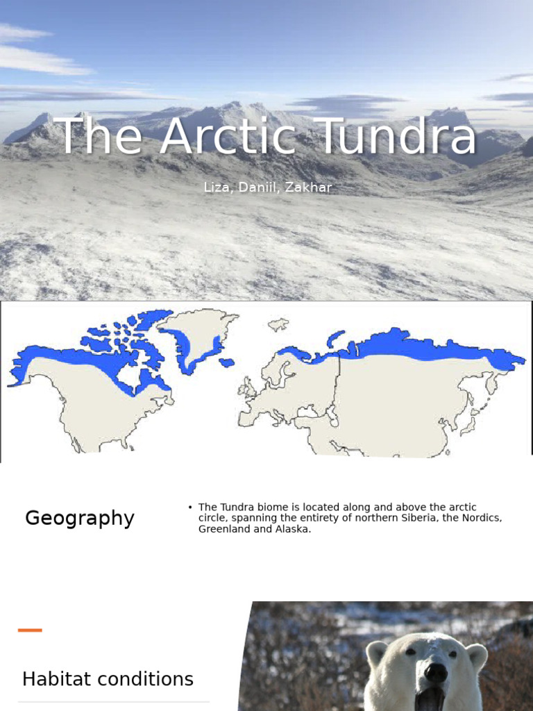 Arctic Tundra: Habitat, Wildlife, and Adaptations | PDF