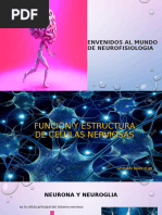 Amelia Meromelia Pie Equino Varo Grupo #2 M1-01 | PDF | Pie | El embarazo