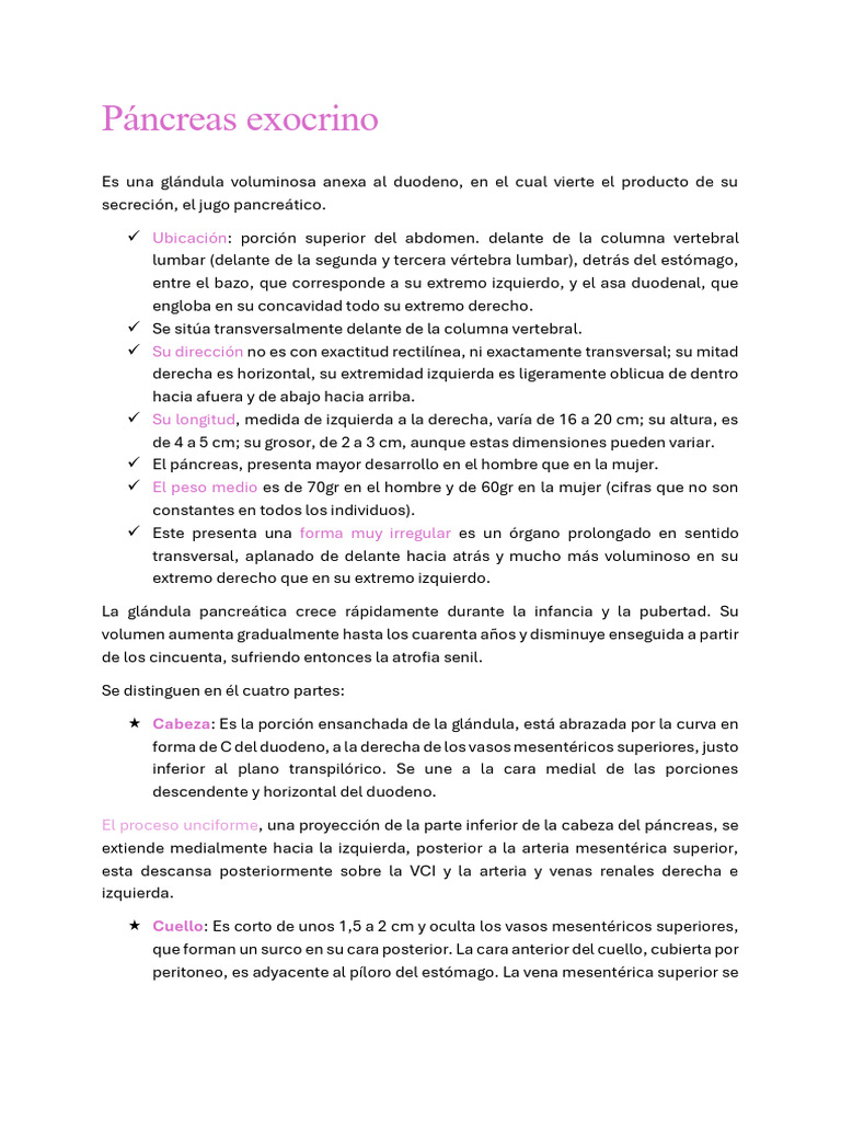 Anatomía y Función del Páncreas Exocrino | PDF | Páncreas | Estómago