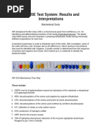 API 20E Test Strip Guide | PDF | Bacteria | Chemistry