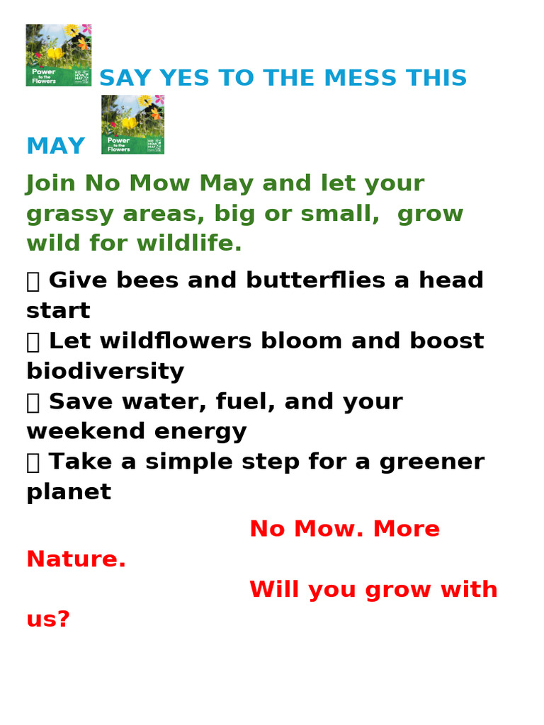 No Mow May Poster 1 | PDF
