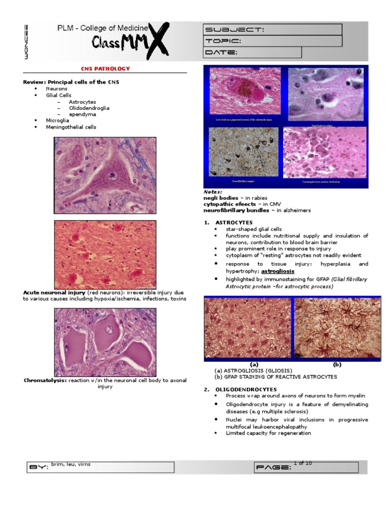 CNS Pathology Overview and Disorders | PDF | Central Nervous System ...