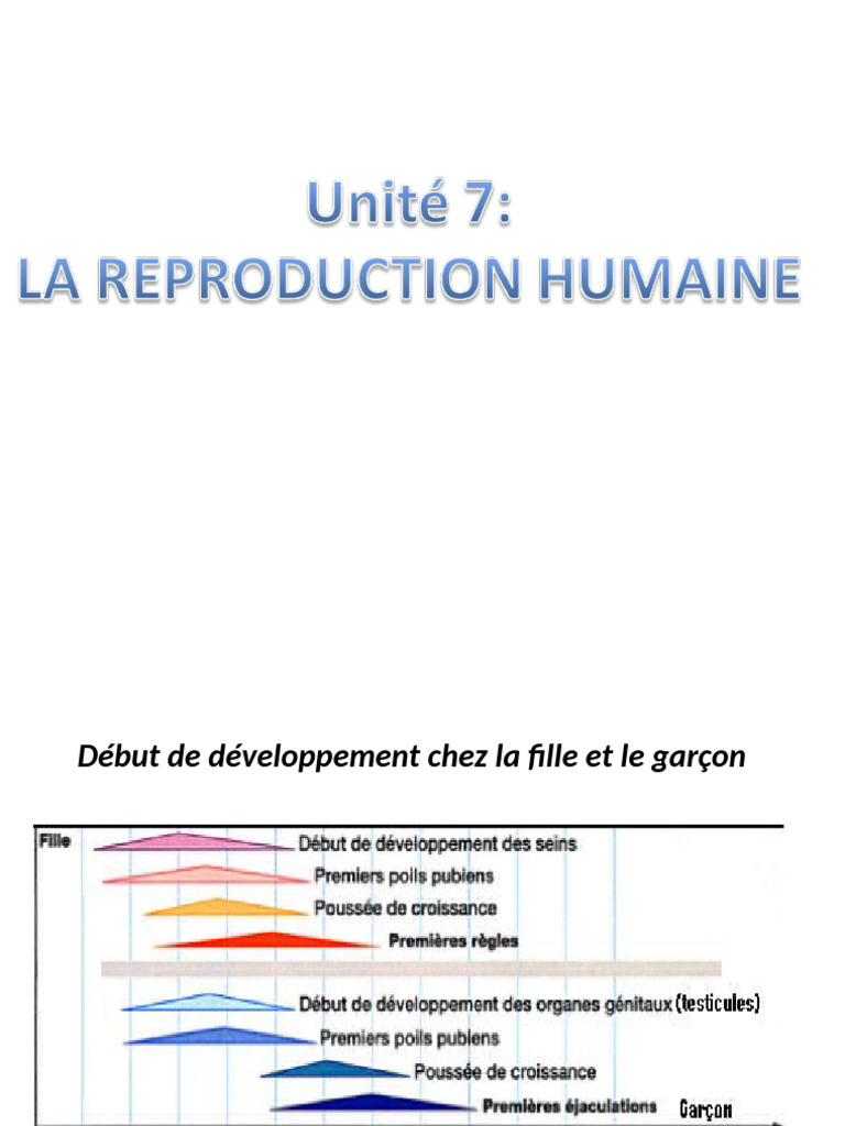 6. La reproduction humaine | PDF