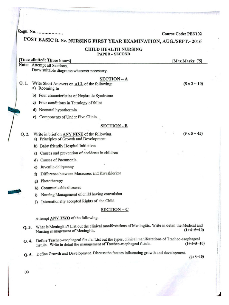 Document Scanning Overview | PDF