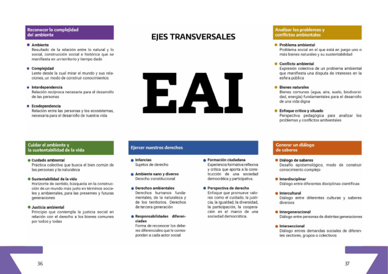 Ejes Conceptos Documento Marco EAI Nación | PDF