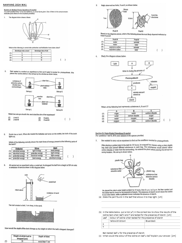 P5 Science 2024 WA1 Nanyang | PDF