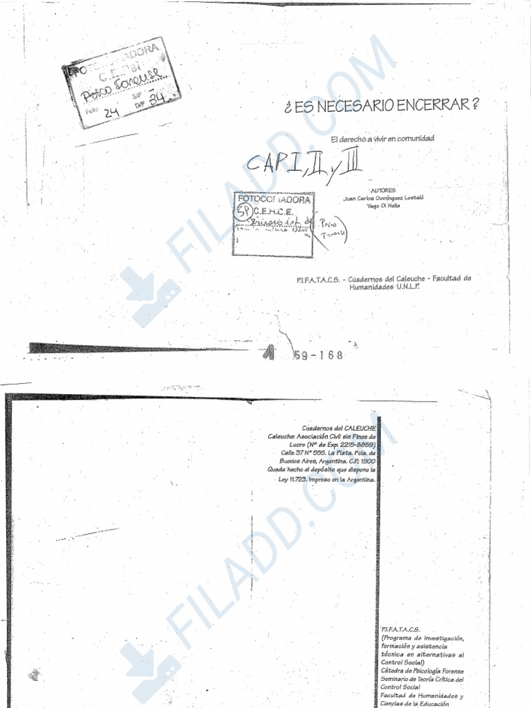 24 DOMINGUEZ LOSTALO - Di NELLA 2008 Es Necesario Encerrar El Derecho A ...