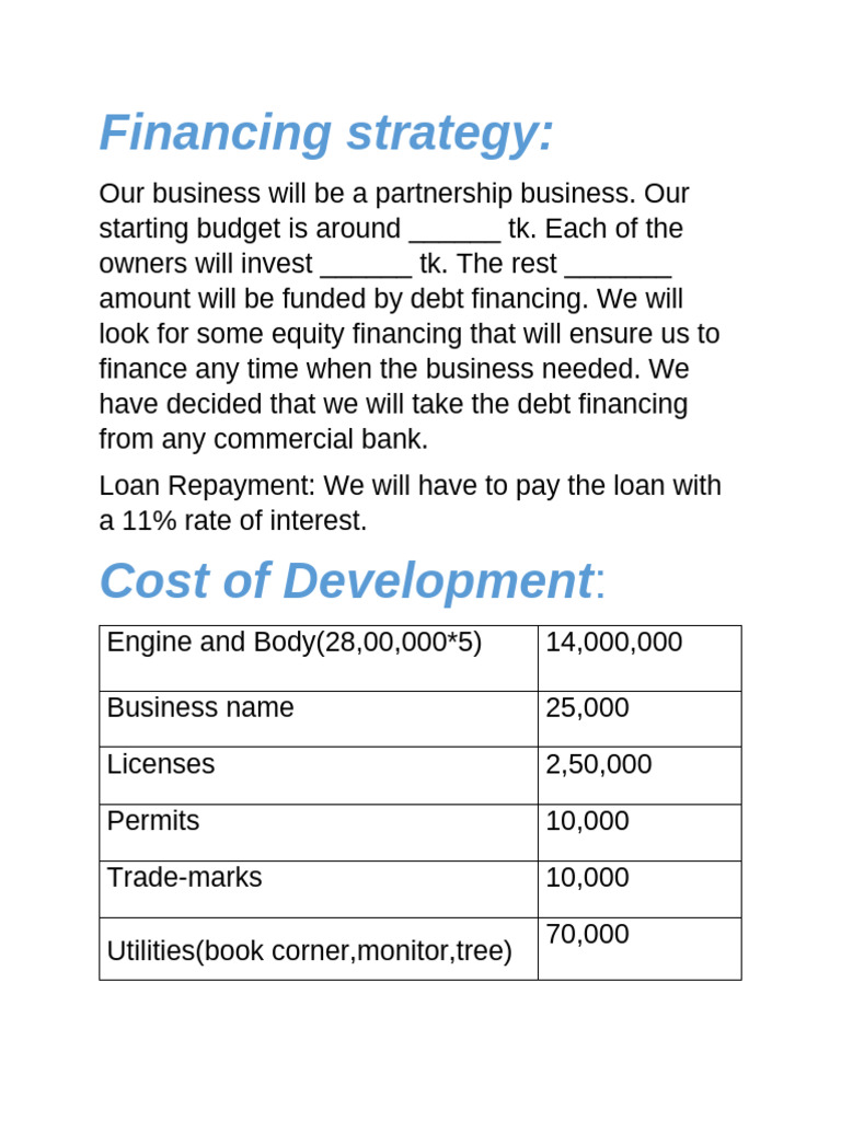 Financing Strategy | PDF