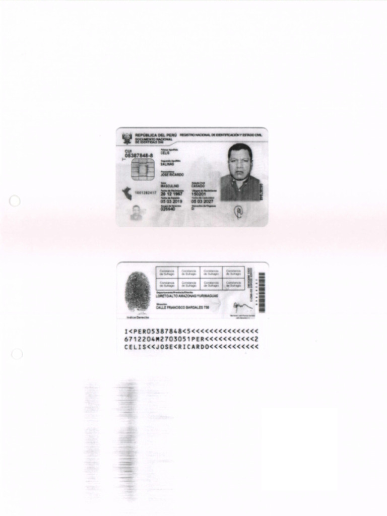 E.dni - Ruc Jose Celis Salinas | PDF