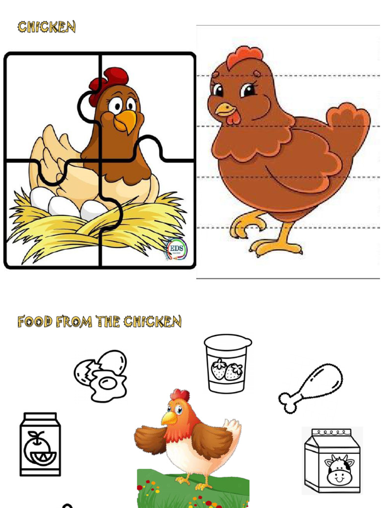 Chicken | PDF
